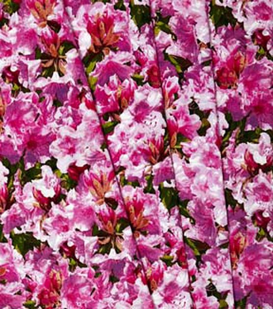 Fabric Traditions Pink Garden Party Azaleas Premium Cotton Fabric Joann